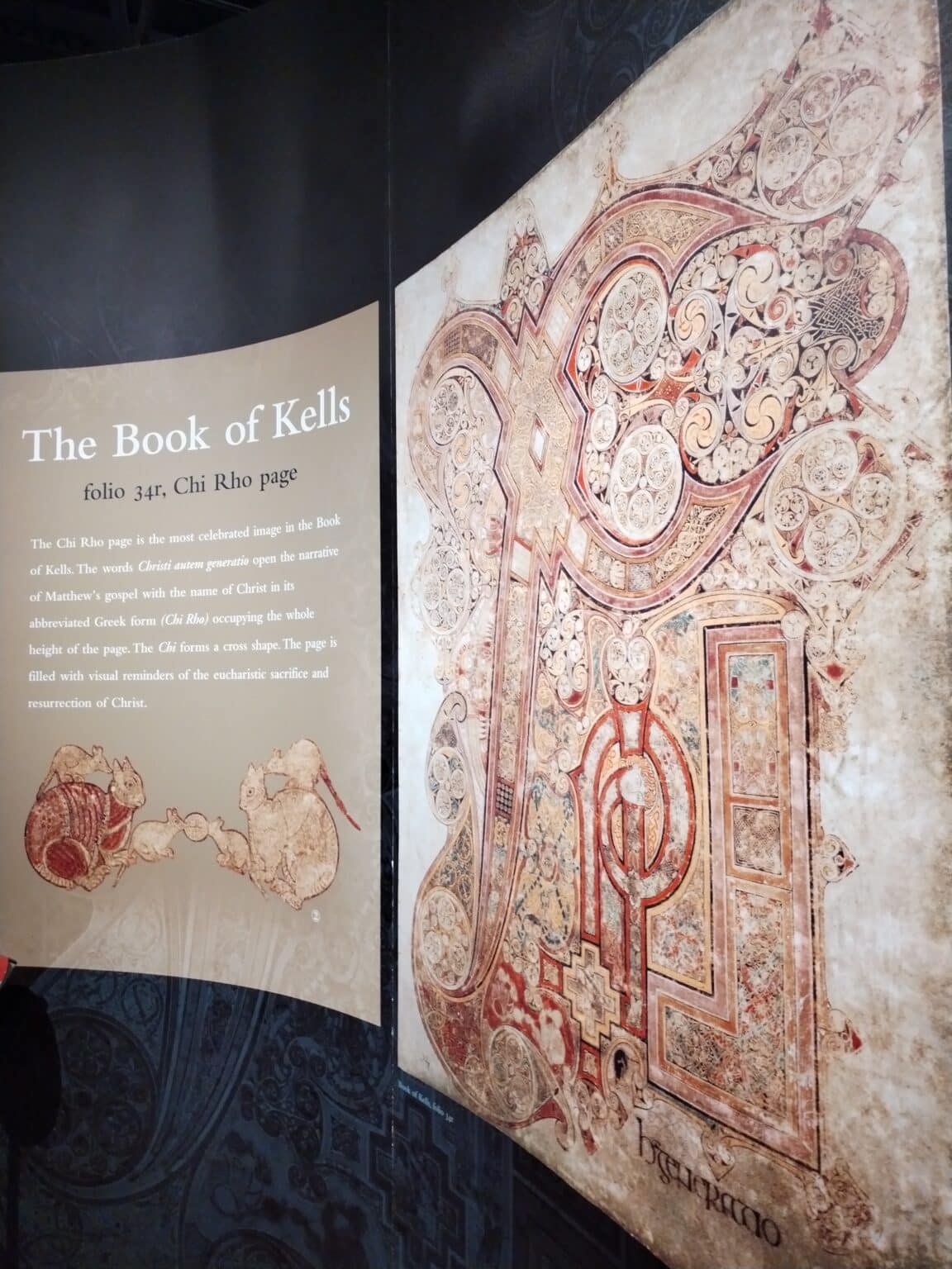 The Book of Kells and Long Room of Trinity College - Travelling Tailtiu